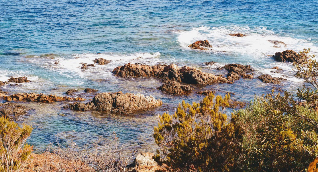 Journée mondiale de la mer - Swanee Rose Le Blog