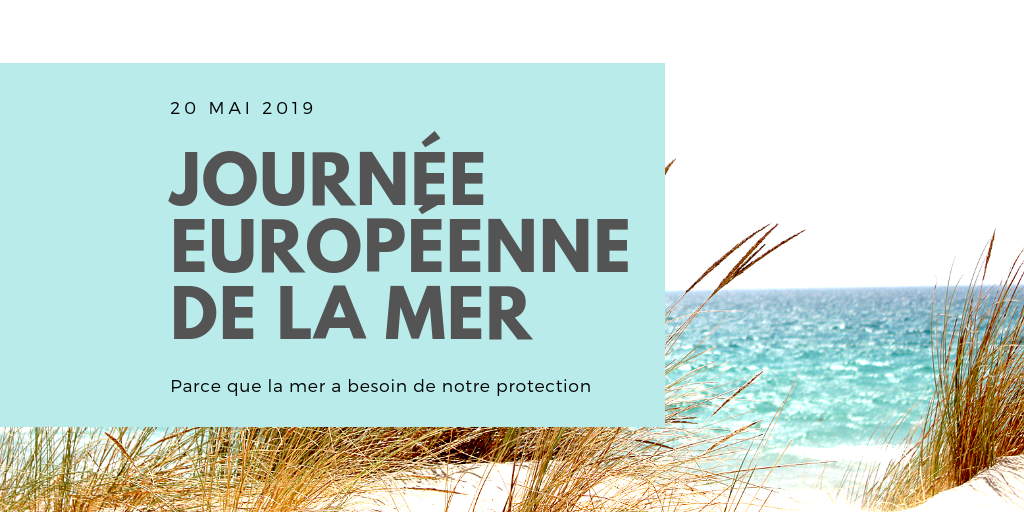 Souvenir de mer pour la Journée européenne de la mer 2019 | Swanee Rose ...